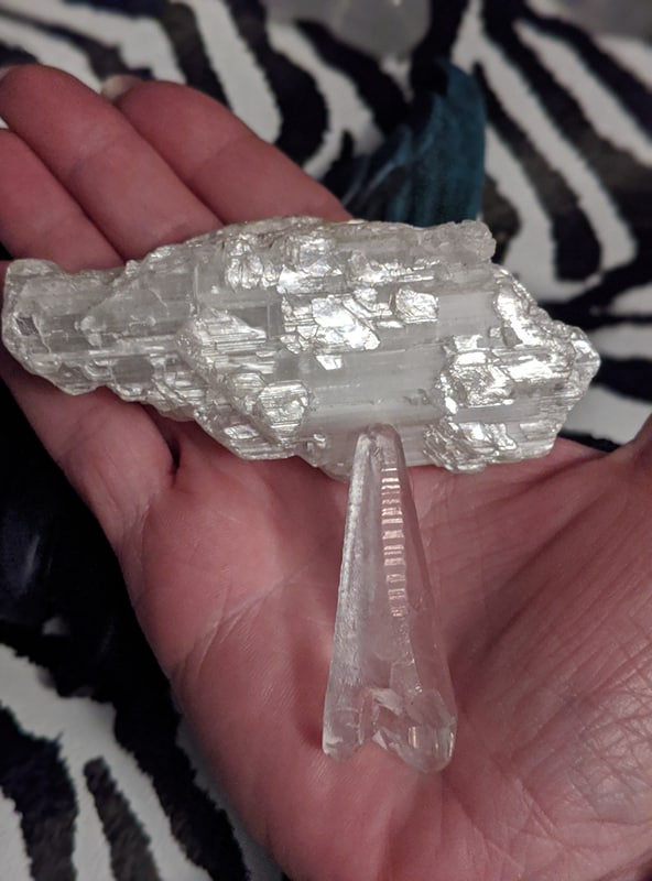 All Enrollment Levels include: