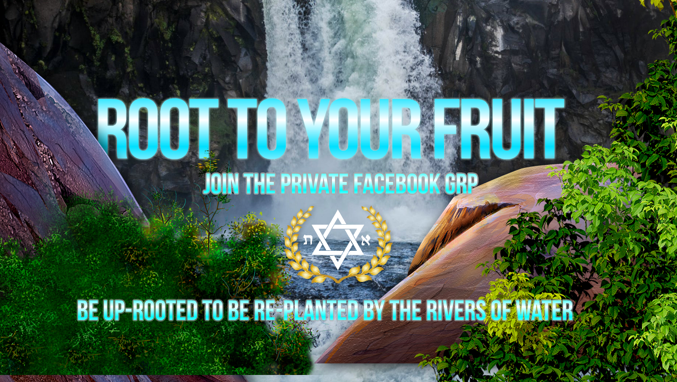 RTYF Mentorship pro 1.0